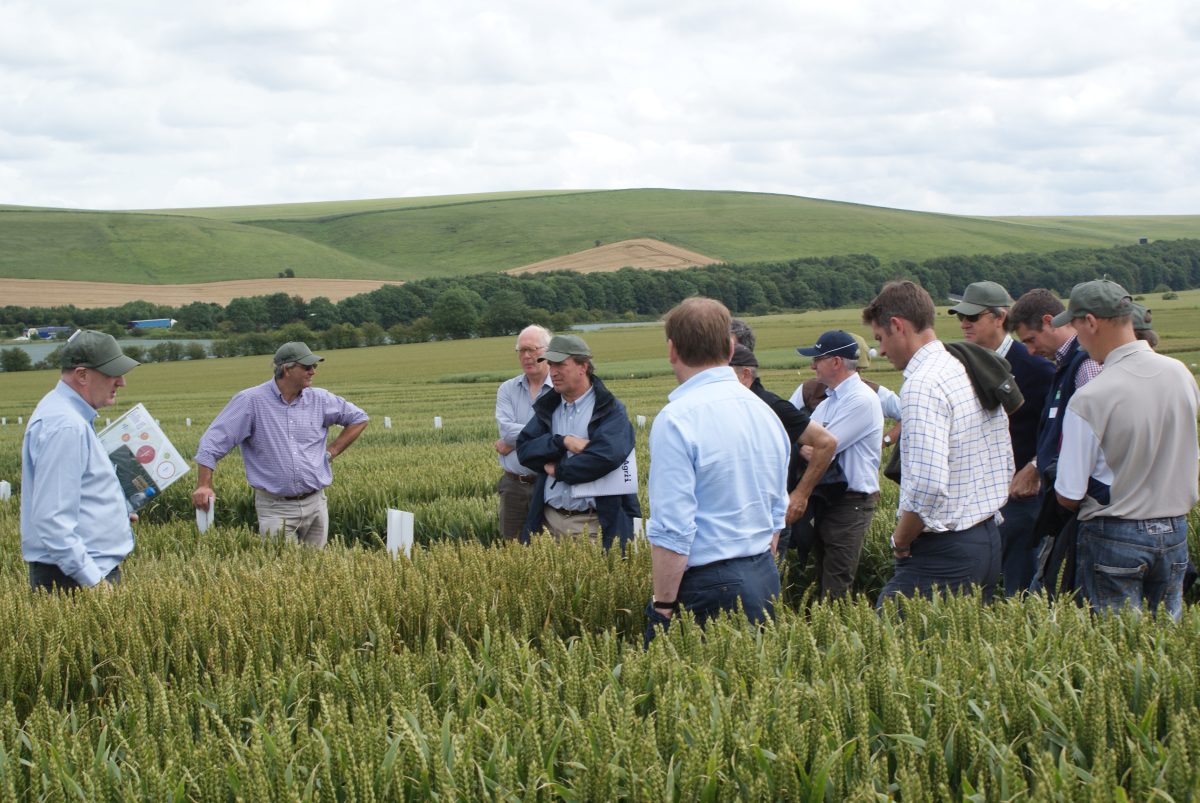 What is a citizen scientist? - BOFIN