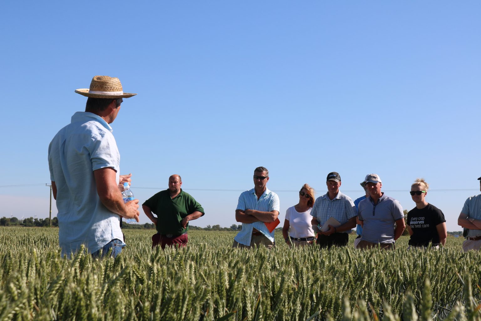 The NCS Project - BOFIN