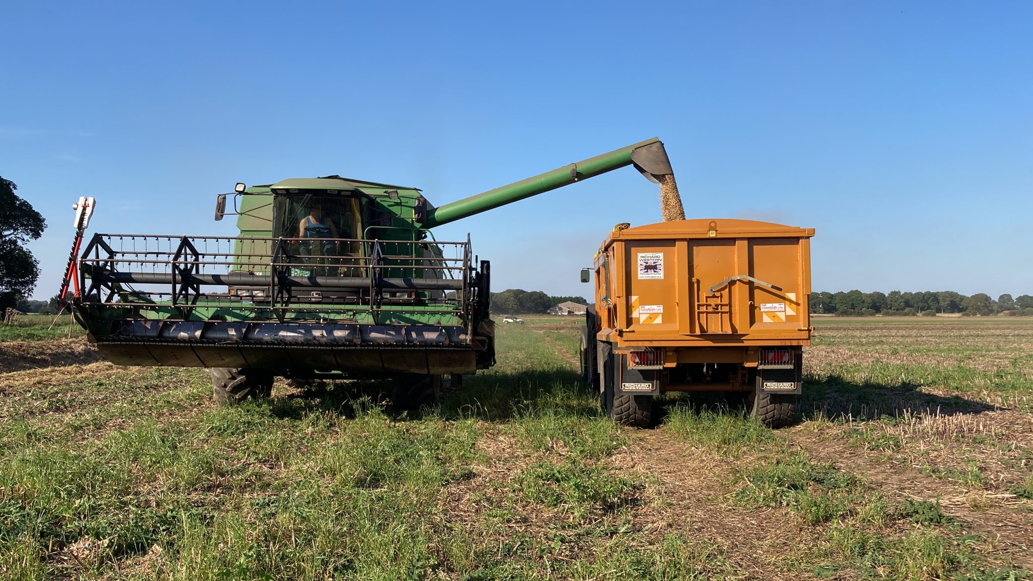 The NCS Project - BOFIN